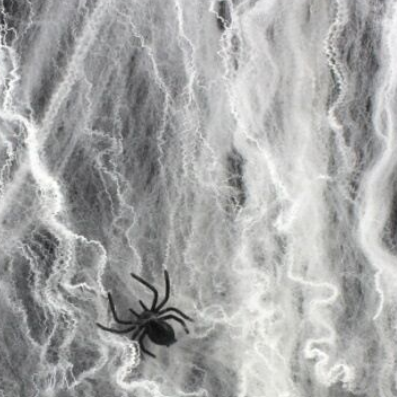 White Spider Web with 2 Spiders for Halloween | Party Supplies, String ...